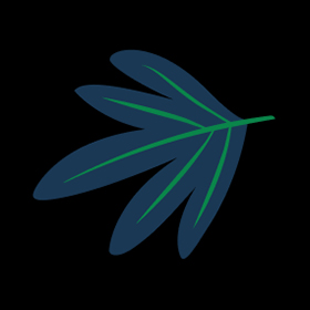 AEA - The All Eyes on the Amazon